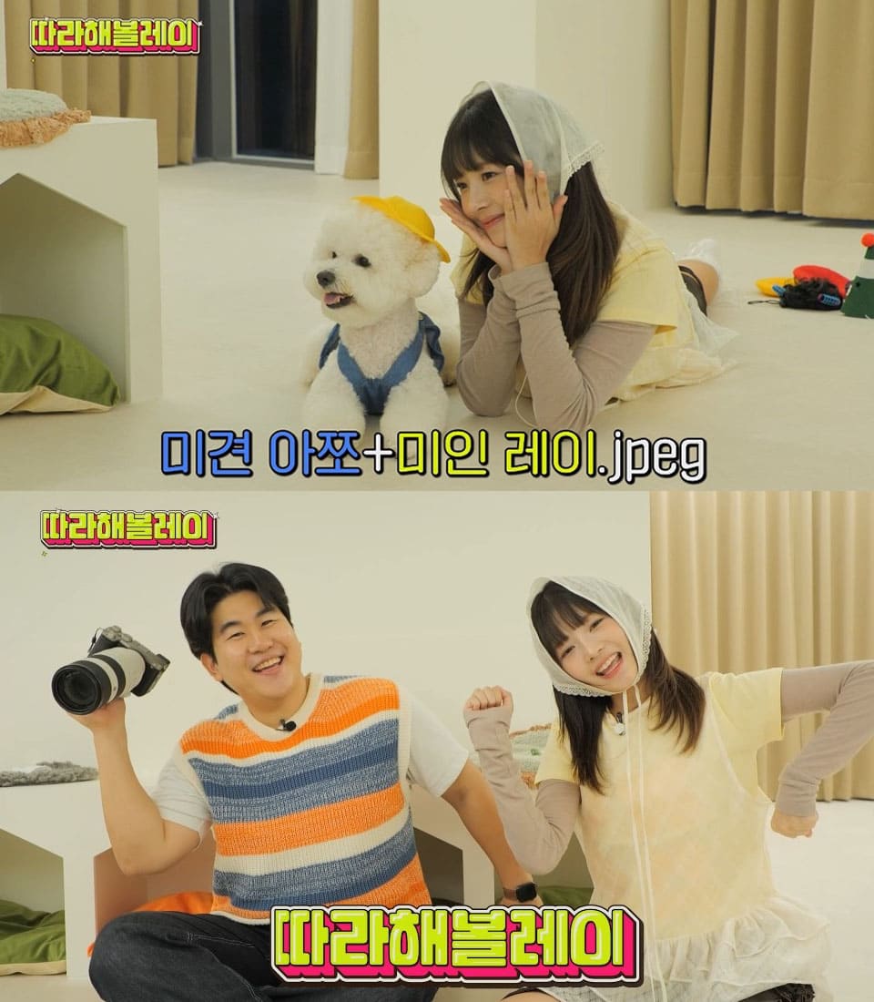 IVE Rei Takes on the Challenge of a 'Puppy Photo Shoot' with Ahn Yujin ...